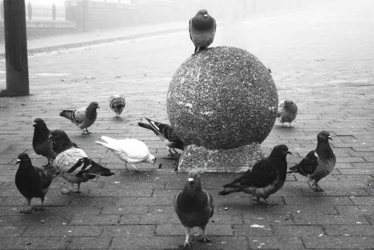 Which Fictional Boss Are You? [Infographic]