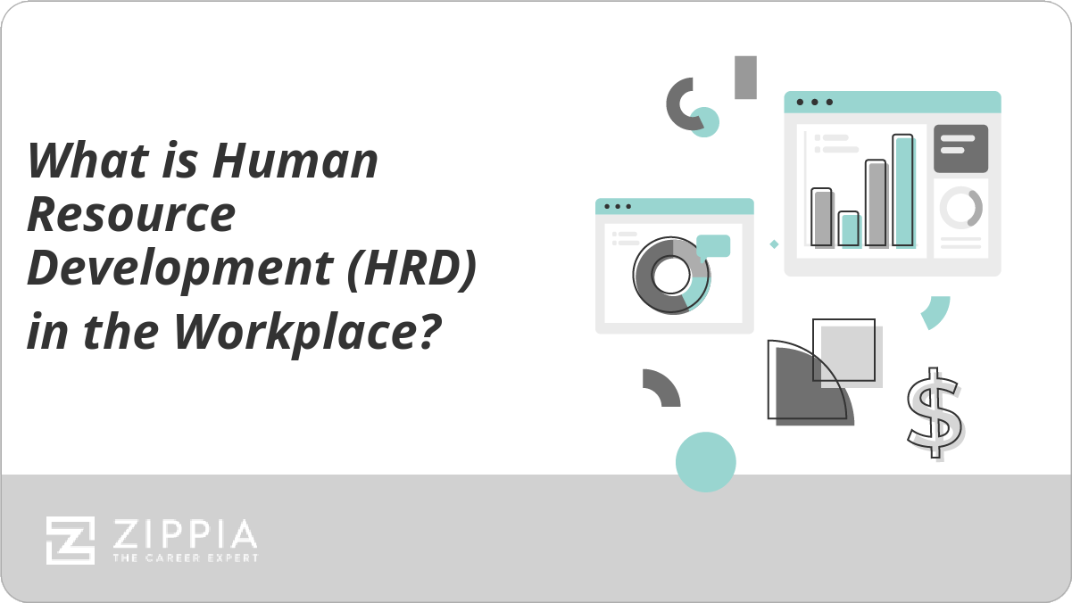 What Is Human Resource Development HRD In The Workplace Zippia